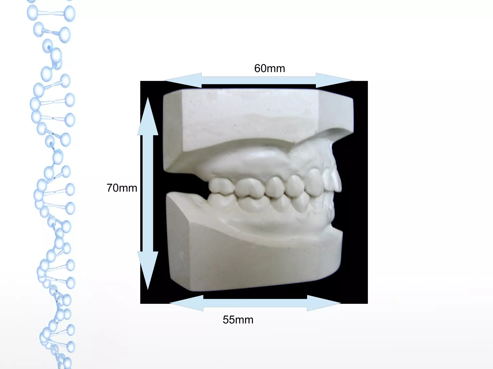 BASING AND TRIMMING OF ORTHODONTIC MODELS | ODP
