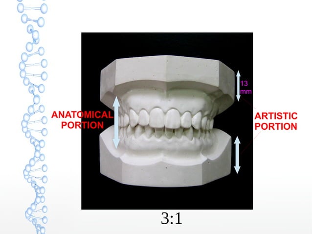BASING AND TRIMMING OF ORTHODONTIC MODELS | ODP