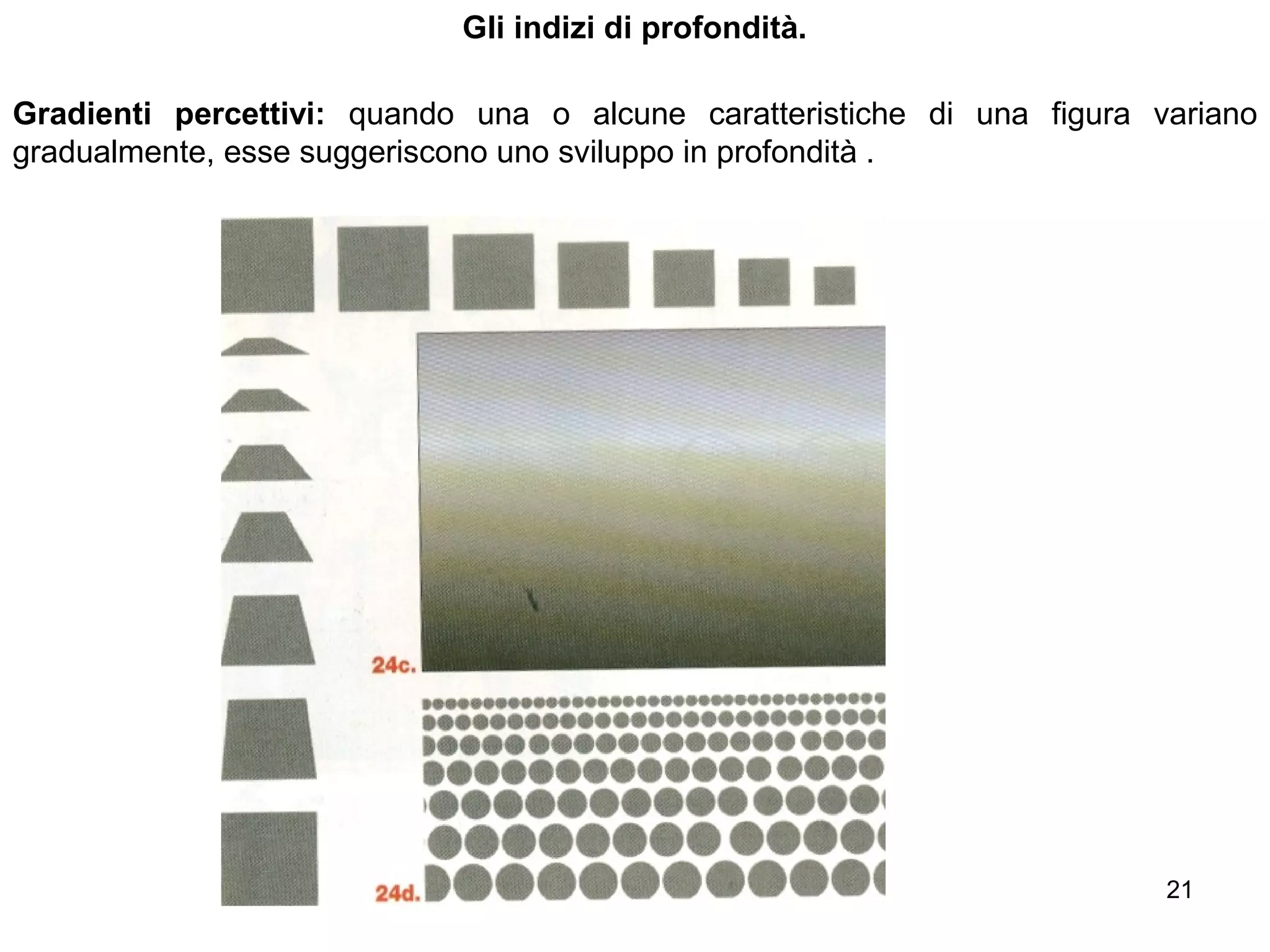 Basi percettive e codici visivi | PPT