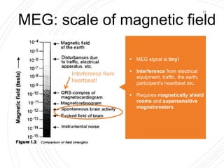 Basis_MEEG_signal_LiS2 Basis_MEEG_signal_LiS2.ppt