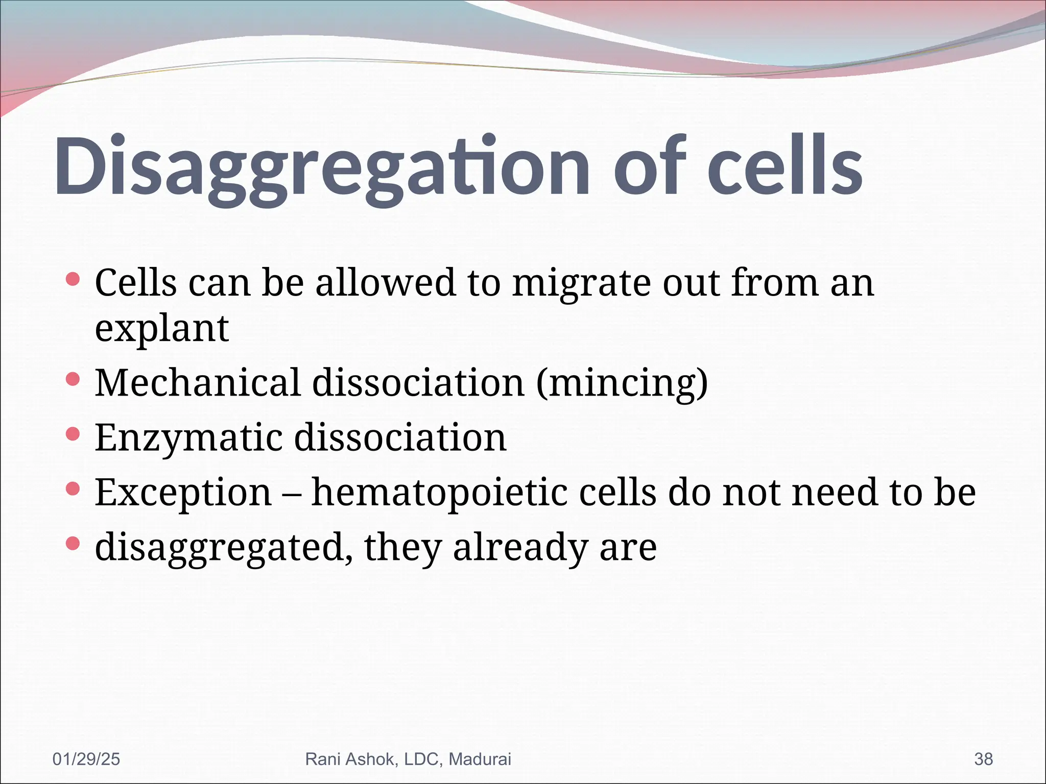 Basis of animal cell culture ZOOLOGY.ppt