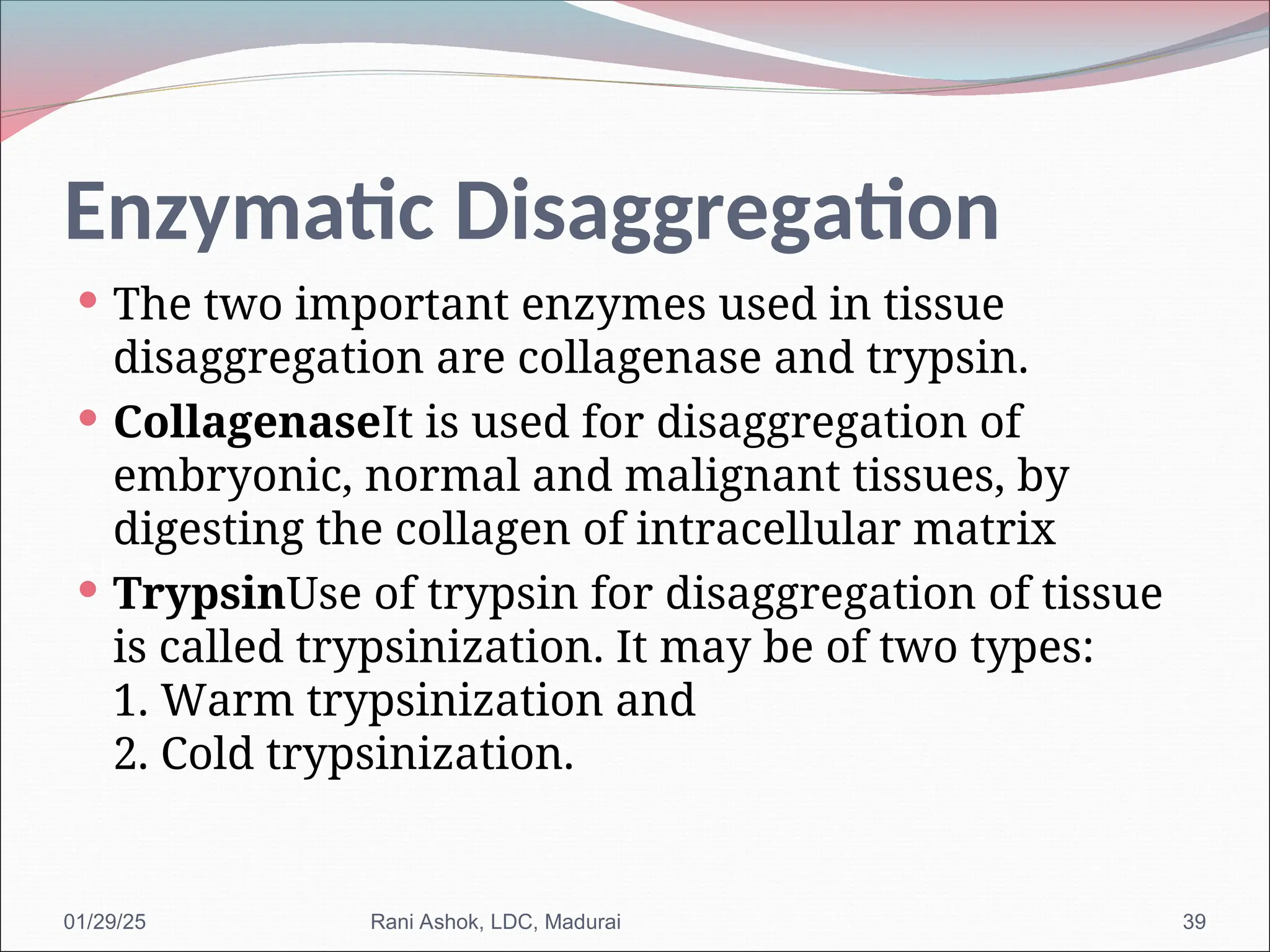Basis of animal cell culture ZOOLOGY.ppt