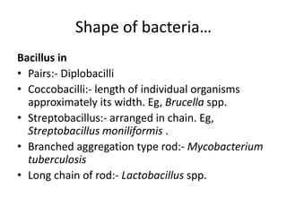 Basis of bacterial classification by Anil Shrestha | PPTX | Biological ...