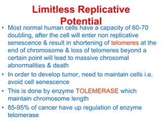 basis of cancer types of cancer oncogenes.ppt