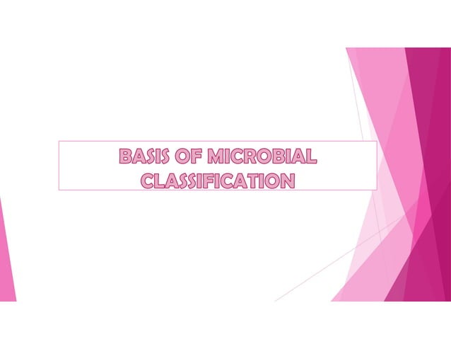 basis of classification(MODE OF NUTRITION, REPRODUCTION, RESPIRATION ...