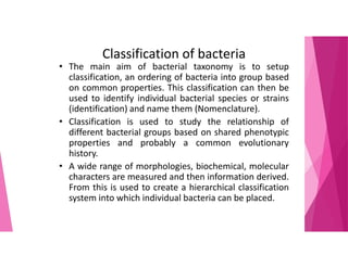 basis of classification(MODE OF NUTRITION, REPRODUCTION, RESPIRATION ...