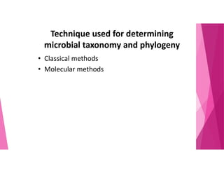 basis of classification(MODE OF NUTRITION, REPRODUCTION, RESPIRATION ...
