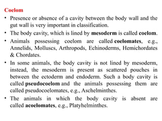 Basis of classification for the animal kingdom.pptx