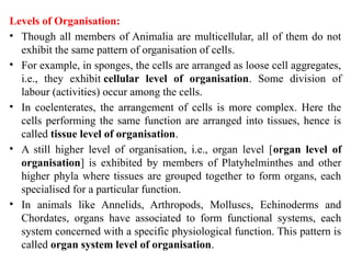 Basis of classification for the animal kingdom.pptx