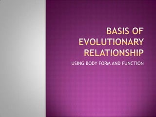 Basis of evolutionary relationship (body form and function) | PPTX