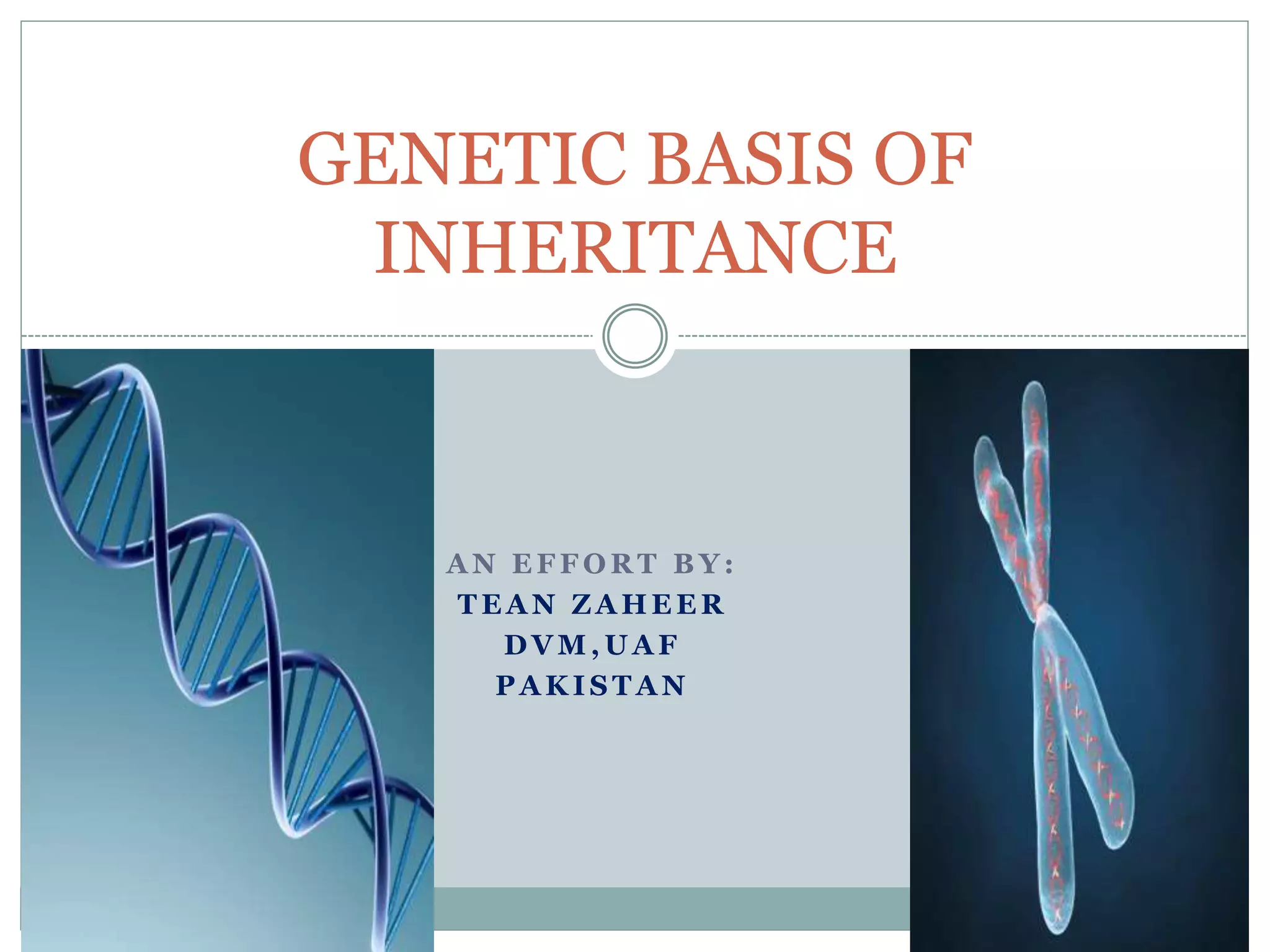Basis of Genetic Inheritance | PPTX