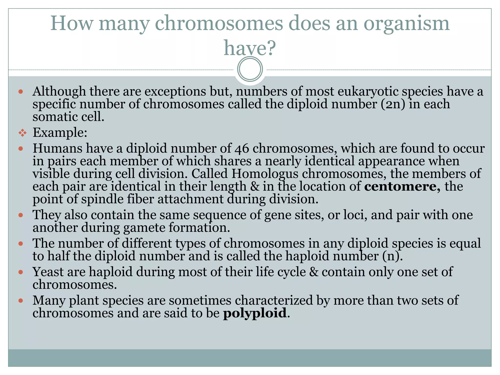 Basis of Genetic Inheritance | PPTX