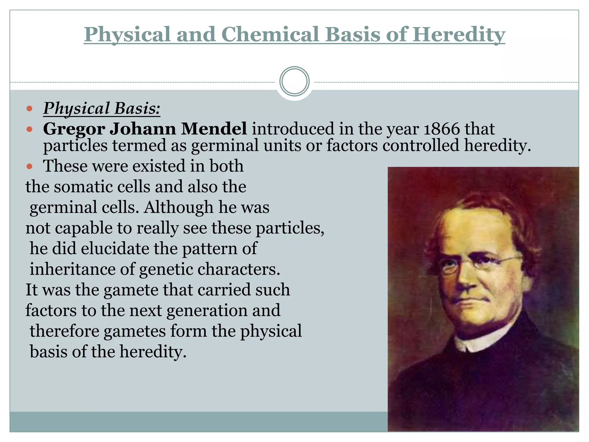 Basis of Genetic Inheritance | PPTX