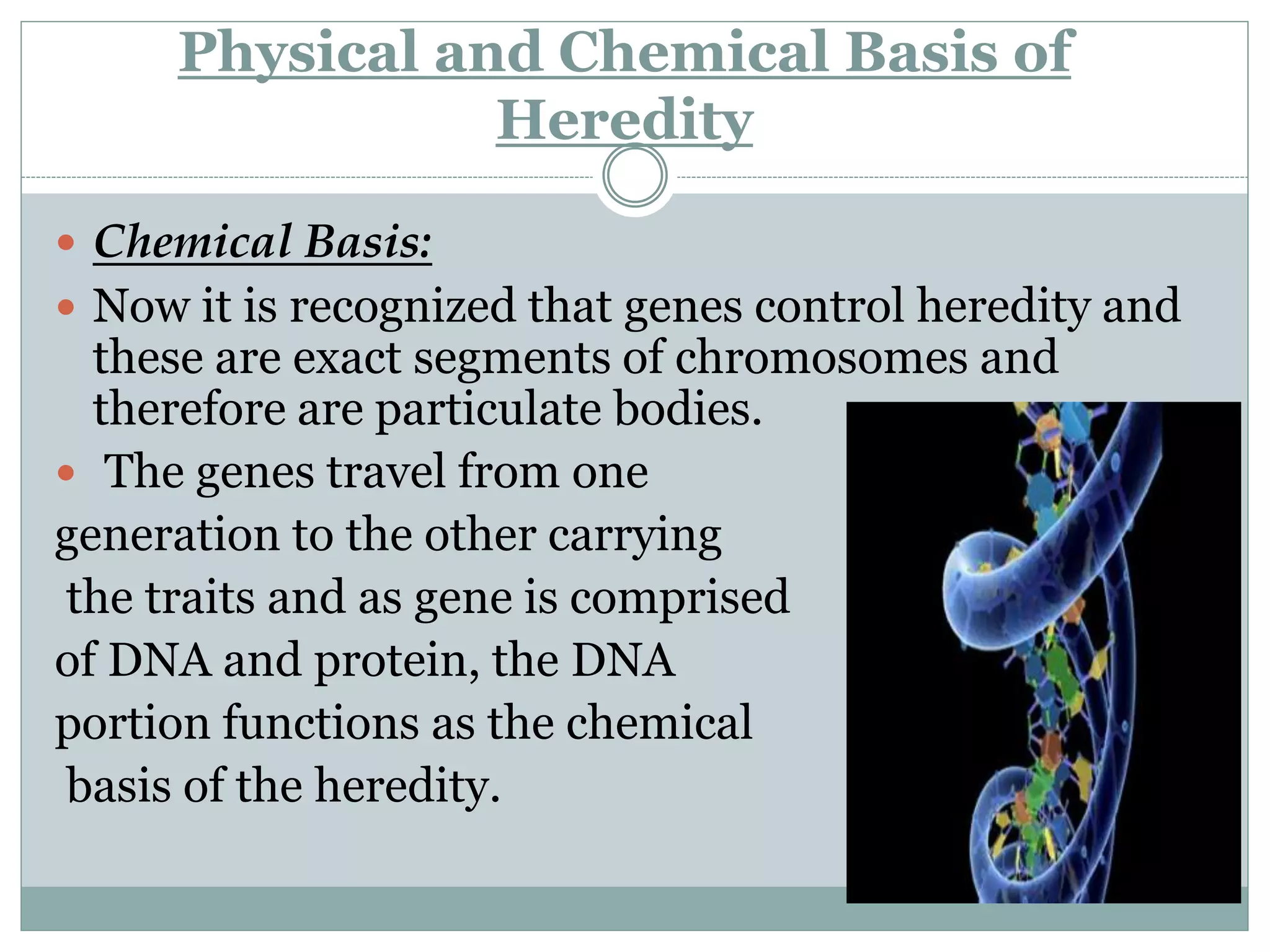 Basis of Genetic Inheritance | PPTX