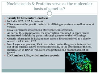 Basis of Genetic Inheritance | PPTX