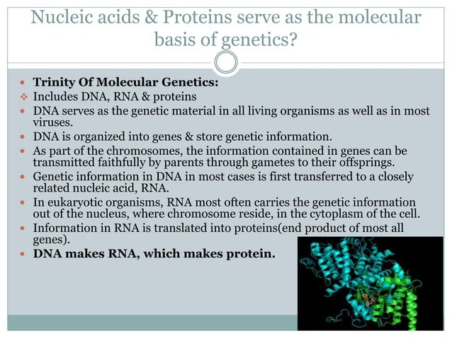 Basis of Genetic Inheritance | PPTX