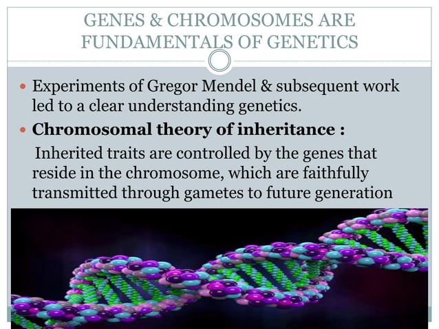 Basis of Genetic Inheritance | PPTX