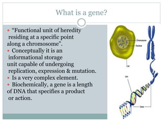 Basis of Genetic Inheritance | PPTX