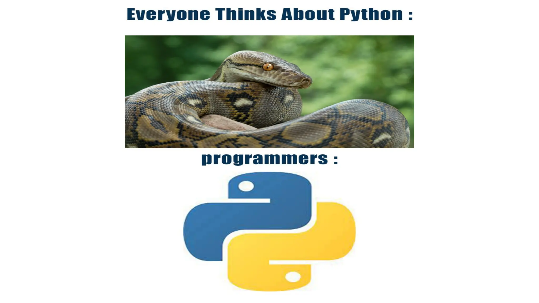 BASIS OF PYTHON PROGRAMMING vghkjnkjnkjnlkjn | PPTX