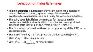 Basis of selection in animal genetics and breeding | PPTX