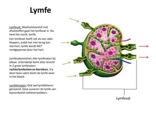 Basisstof 6 En 8 | PPT