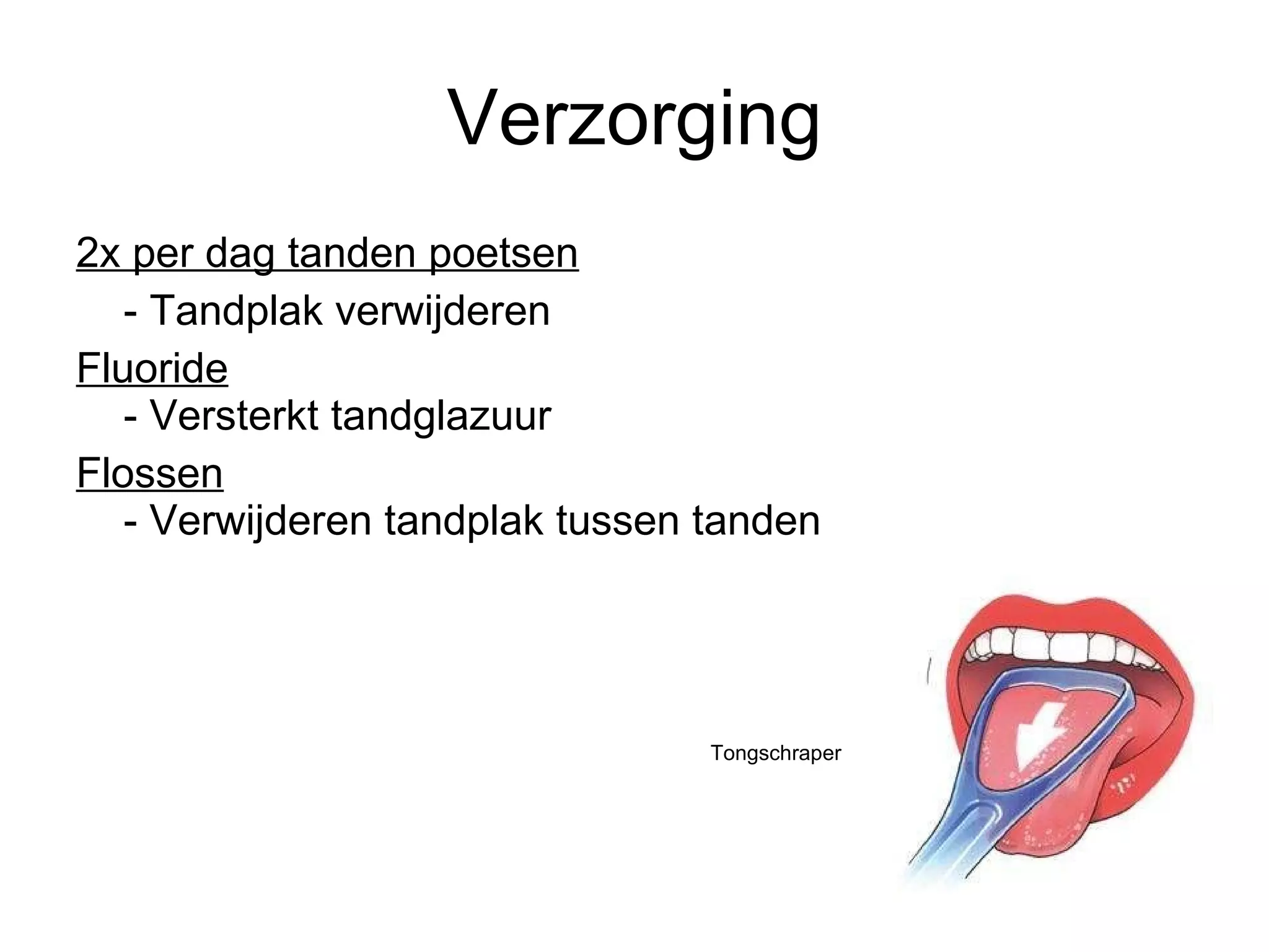 Basisstof 6, het gebit | PPT
