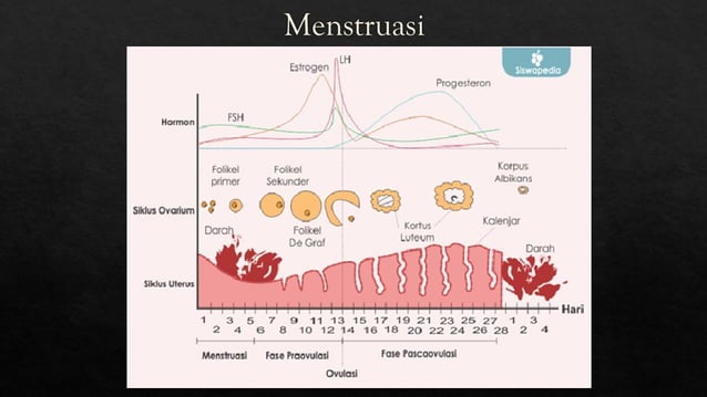 BA_Sistem Reproduksi Pada Manusia_Kelas 9.pptx