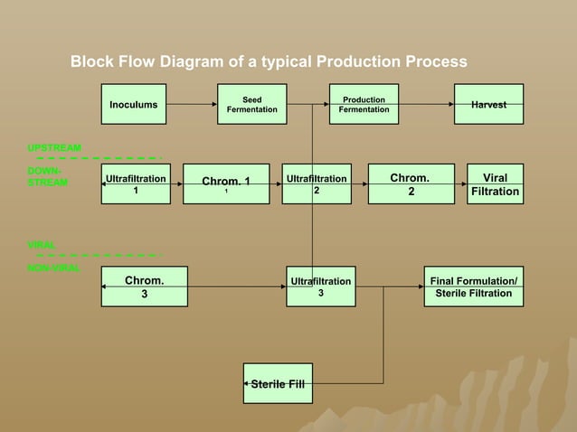 Basis Validation of Biomanufacturing Processes | PPT