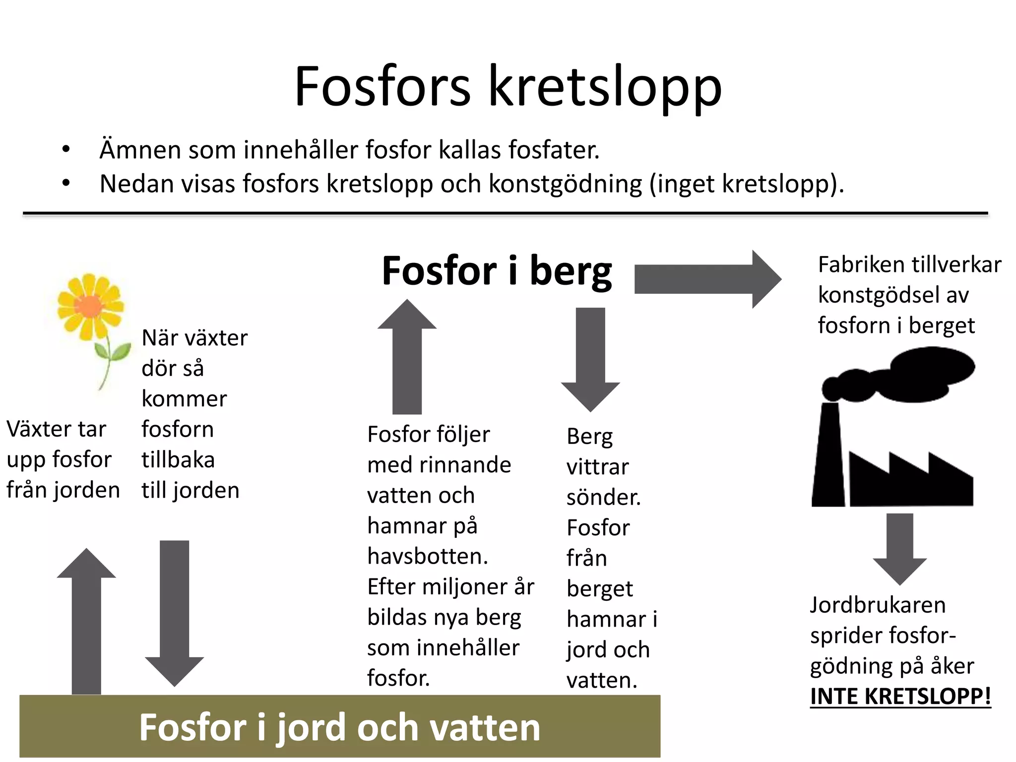 Lena Koinberg | Kemi NP repetition: Sammanfattning åk 9 | PPTX