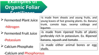 Basket-composting-Foliar-fert and fermentation..pptx