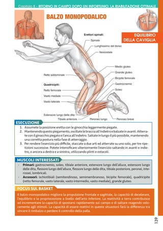 Pagine da Basket Anatomy | PDF