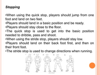 Basketball | PPT