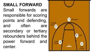 BASKETBALL TERMENOLOGIES.pptx | Basketball | Sports