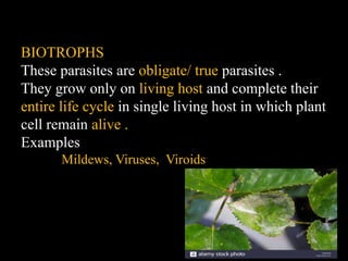 Baski parasitism and its types | PPTX