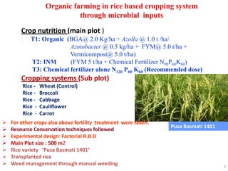 basmati rice organic and farming methods | PDF