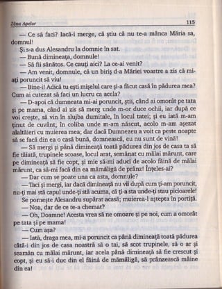 bASME ROMANESTI ZANA aPELOR.pdf