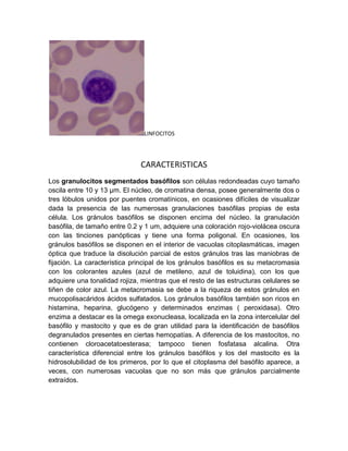 Basofilos | PDF