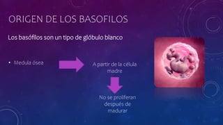 basofilos (1).pptx