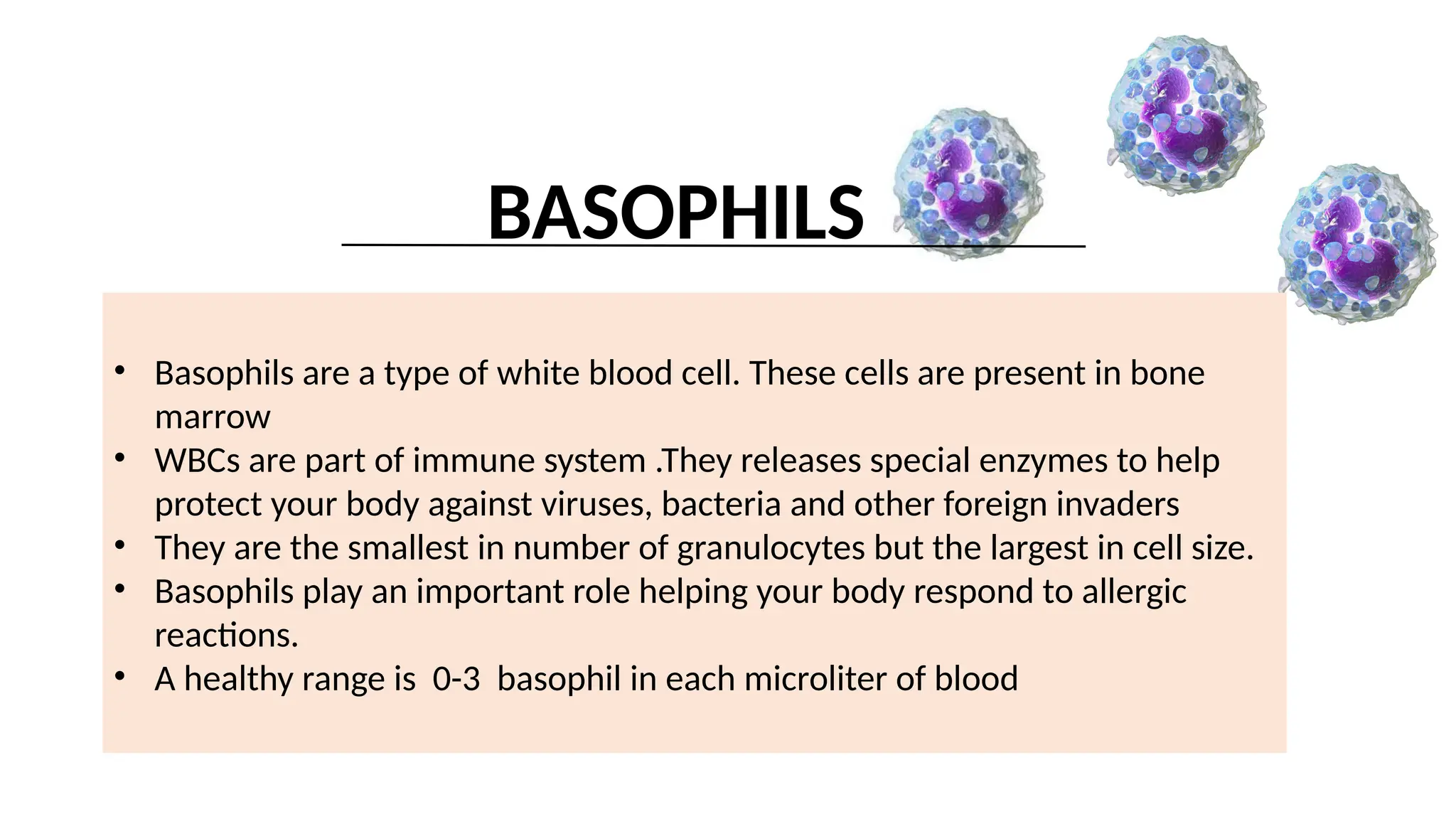 BASOPHILIA immune system presentation pp | PPTX