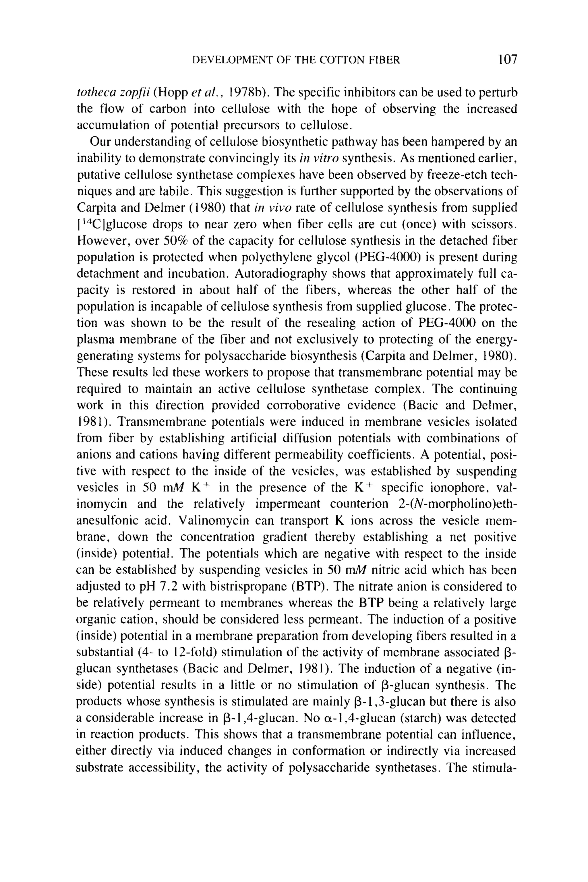 Basra and Malik - 1984 - Development of the Cotton Fiber.pdf