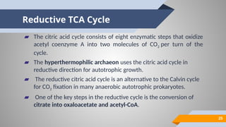 Archaea Metabolism and its processes .pptx | Free Download