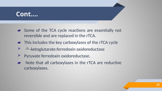 Archaea Metabolism and its processes .pptx