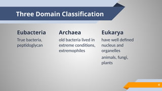 Archaea Metabolism and its processes .pptx | Free Download