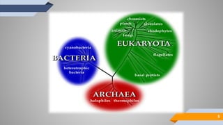 Archaea Metabolism and its processes .pptx