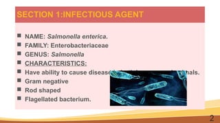 Salmonella enterica biosafety and biosecurity .pptx