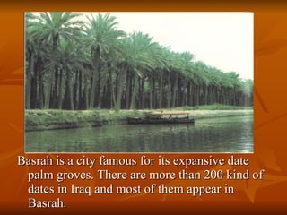 Basra, city of iraq1 (2) | PPS