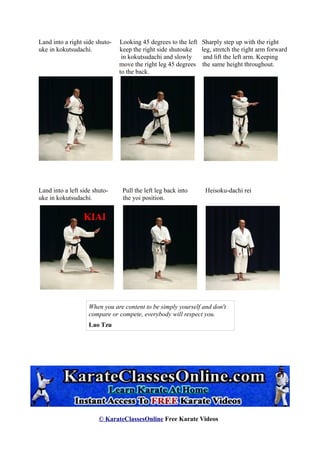 Shotokan bassai dai PDF | PDF