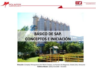 SAP BASICO. UNIDAD I | PDF