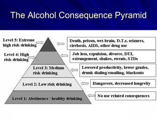 Nursing Grand Rounds: Alcohol, Drugs and Brain Science | PPT