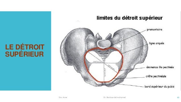 Bassin obstetrical [enregistrement automatique]